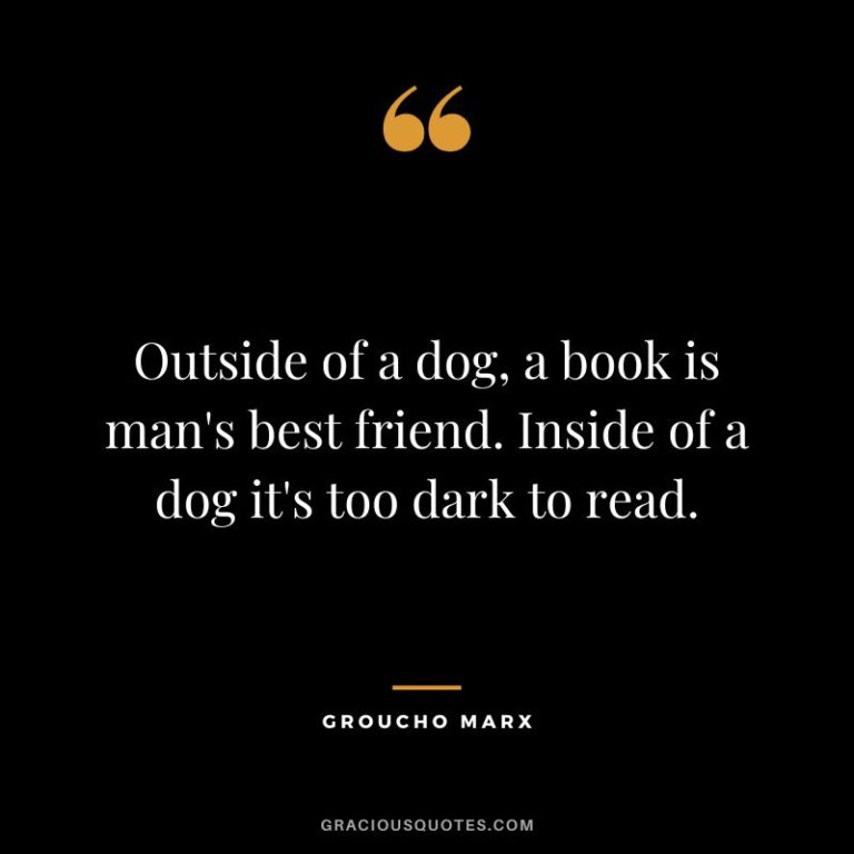 Top 78 Quotes on Humor in Life & Love (LAUGH)